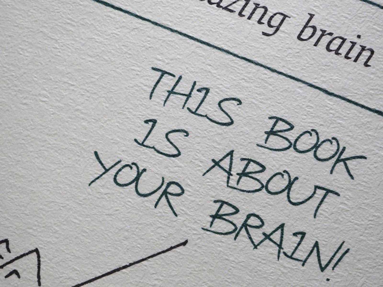 Dr Andrew Curran | Independent Thinking